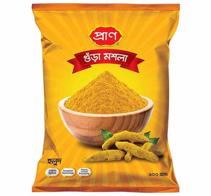 Turmeric Powder Pran 100 gm - EasyShop